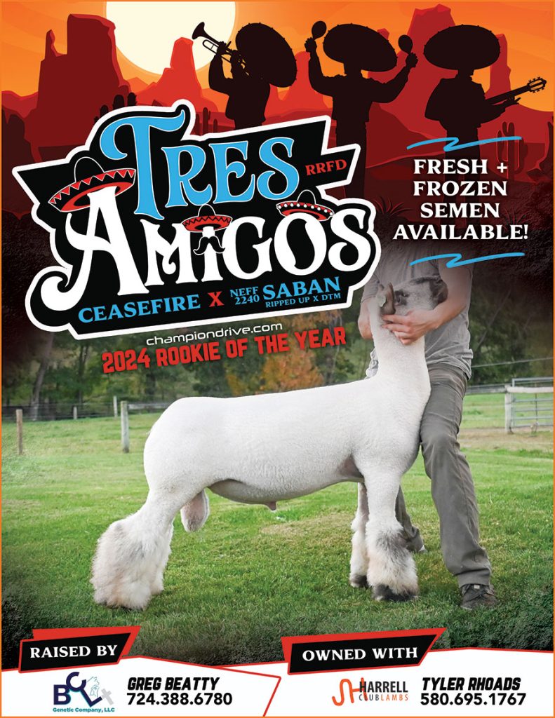 Tres Amigos - Beatty's Club Lambs